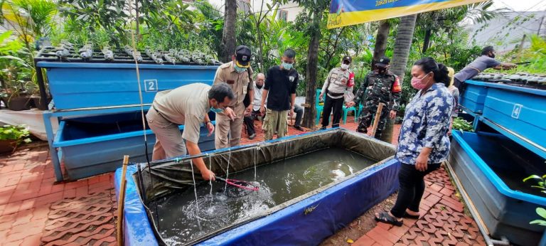 Komunitas Binaan PLN Panen Raya Lele di Pusat Ibukota » Berita energi ...