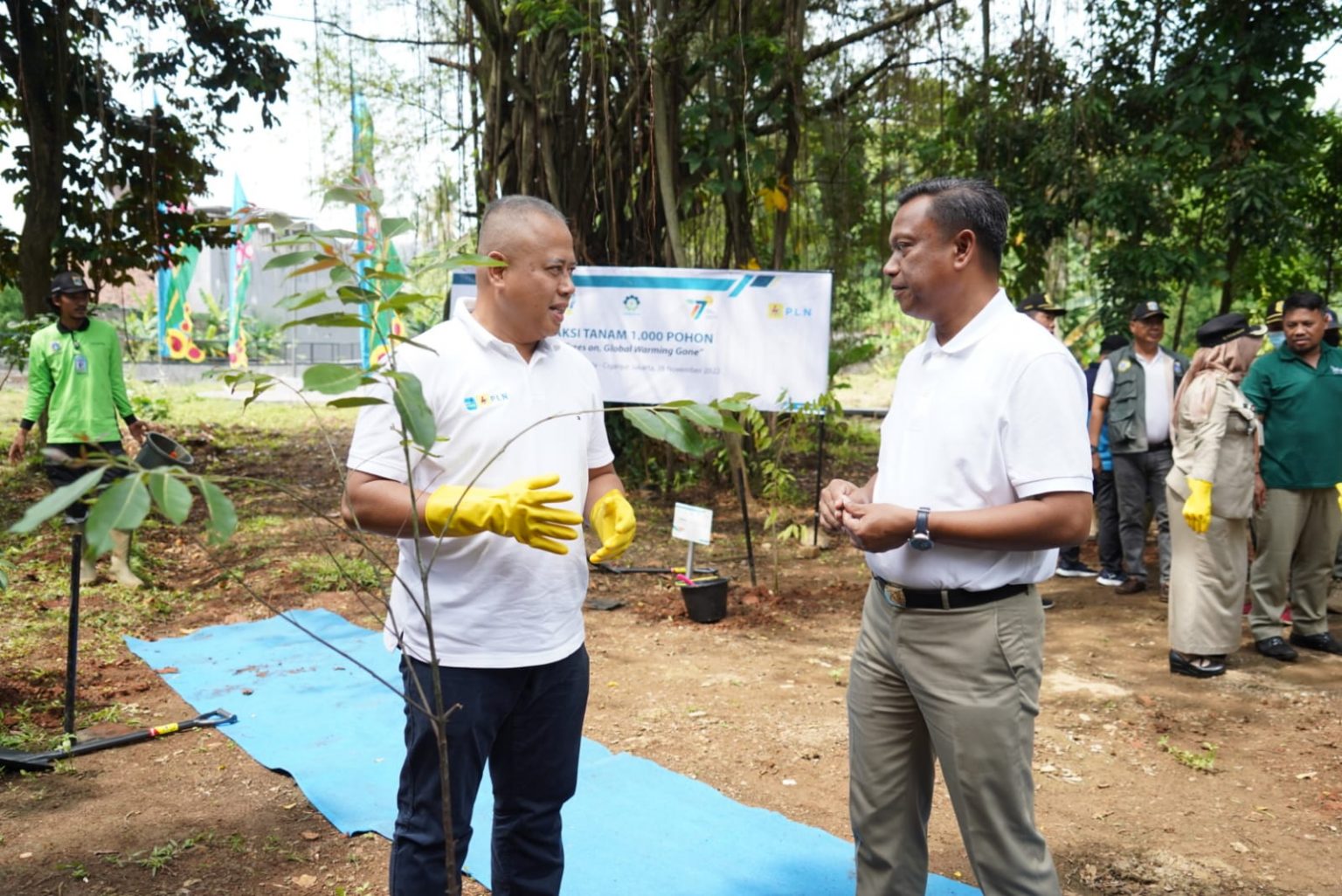 Peringati Hari Menanam Pohon Indonesia 2022, PLN Tanam Seribu Pohon untuk Jakarta » Berita ...