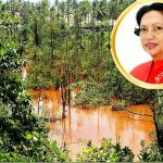 Pemilu Biaya Tinggi dan Praktik Politik Ijon » Berita energi & Minerba ...