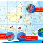 Pertamina Hulu Energi dan Posco Siapkan Seismik 3 Dimensi di WK Bunga ...