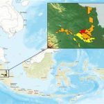 Ini Cerita tentang Blok Sakakemang, Disetujui Pengembangannya dan Ada ...