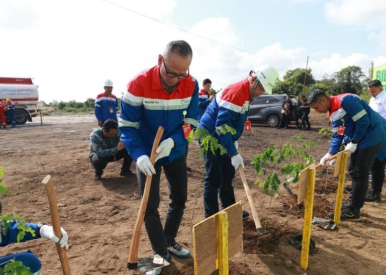 Langkah Menuju Net Zero Emission, Elnusa Hijaukan Area Operasi di ...