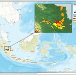 Tegas! Repsol Tetap Berkomitmen Kembangkan Sakakemang dan Bidik CCS di ...
