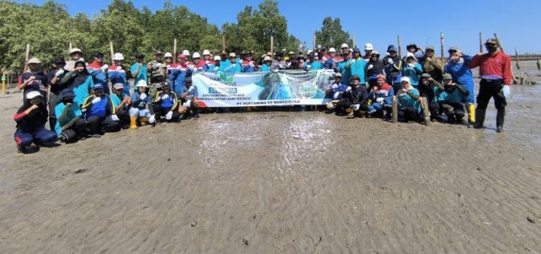 Ahai! PEP Bunyu Field dan PHE-Nunukan Company Tanam 2.500 Mangrove ...